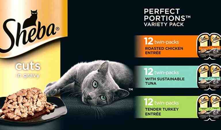 Why Is Sheba Cat Food Making Cat Sick: 5 Best Reasons - Perfect Cat Food