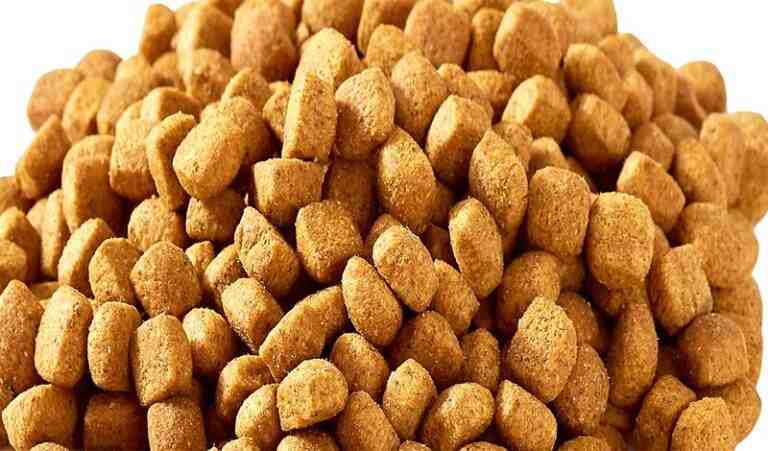 Large Kibble Cat Food: 5 Best Cat Food With Large Kibble - Perfect Cat Food