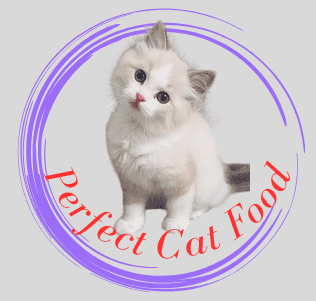 Which Dry Cat Food Has the Most Protein? 3 Best Options - Perfect Cat Food